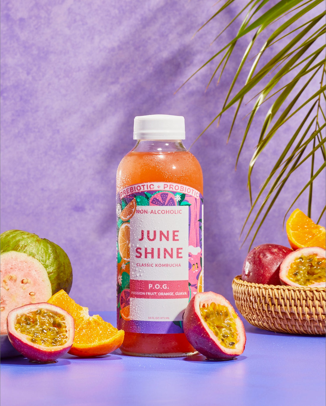 Our Story – JuneShine Kombucha